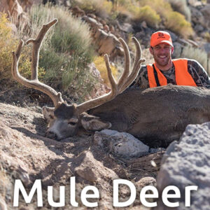 Southern Utah Big Game Hunting Guides - Deep Creek Outfitters